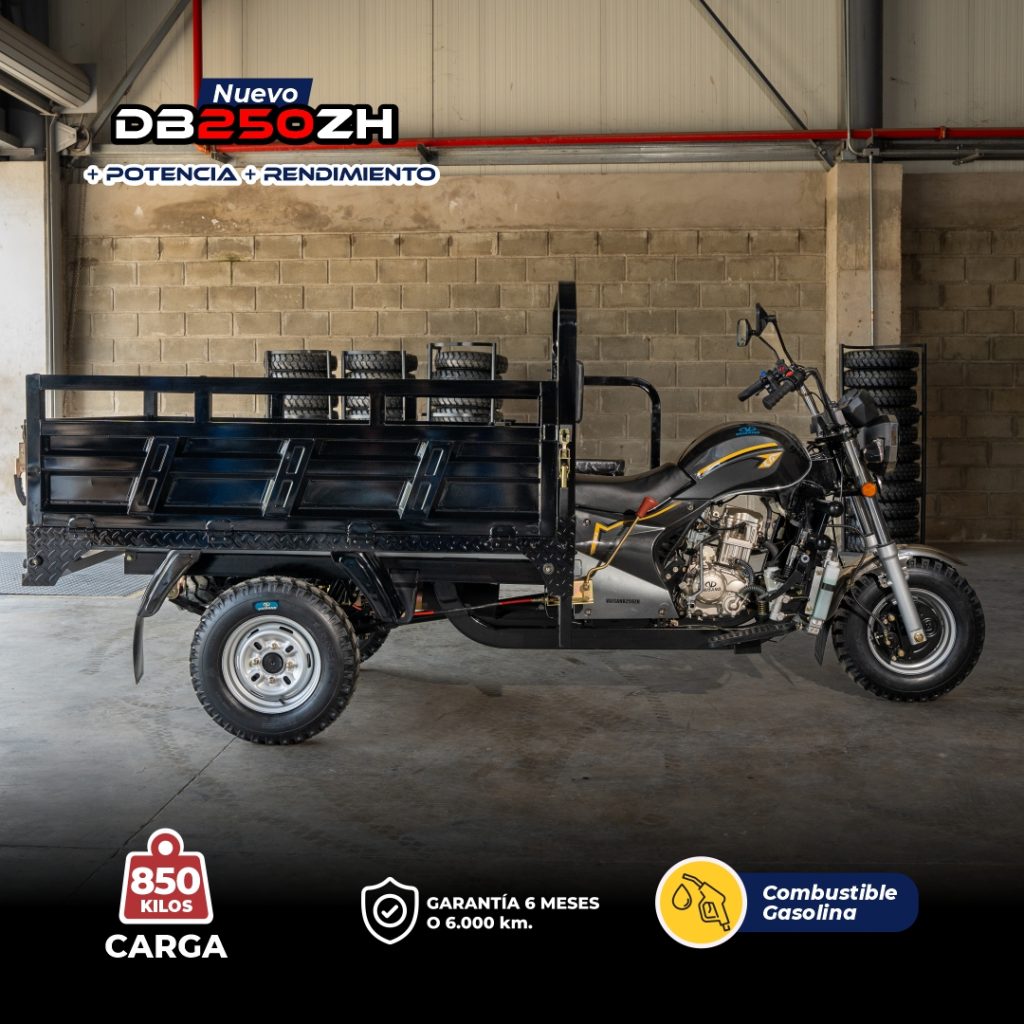 MOTO CARGUERO 250