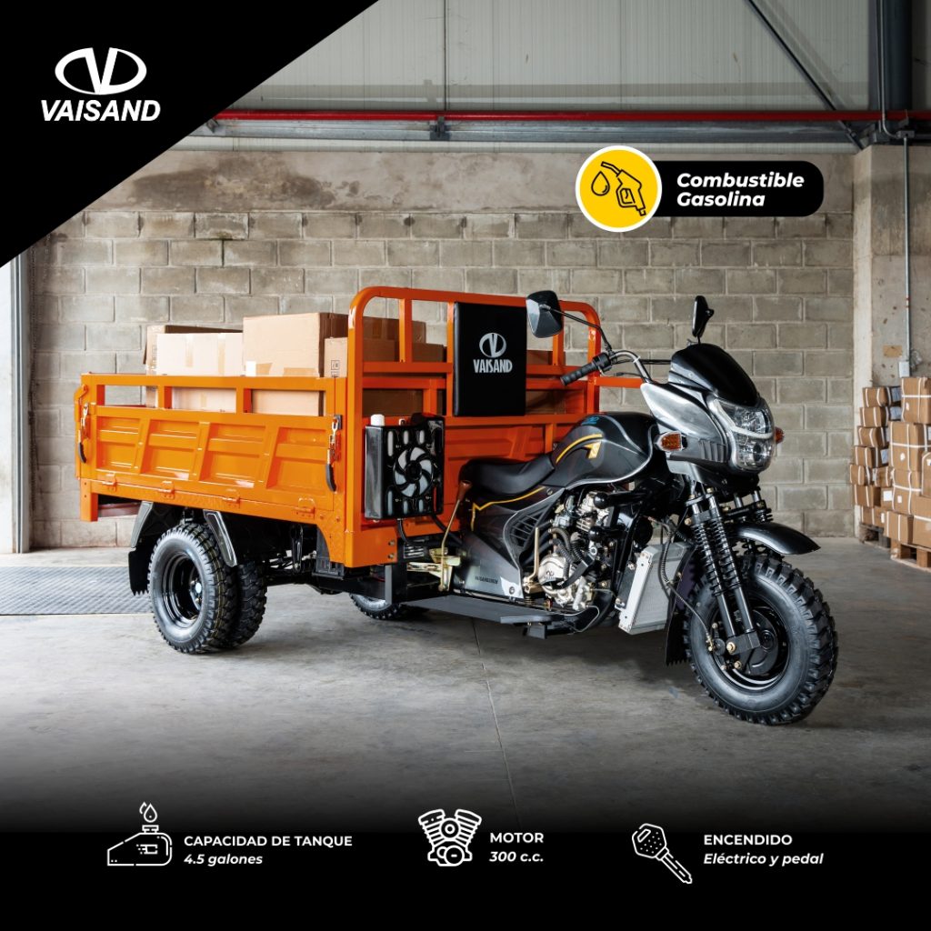 MOTO CARGUERO 300